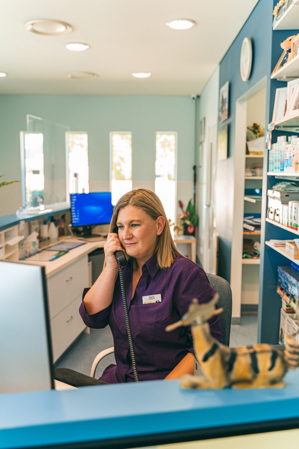 Yearly Flea & Tick Injection | Parkinson Veterinary Surgery